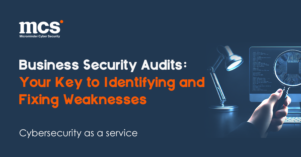 Business Security Audits: Your Key to Identifying and Fixing Weaknesses ...