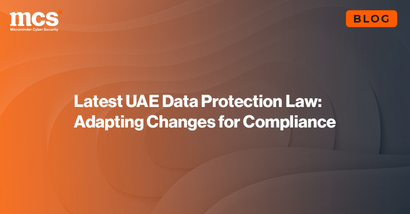 Latest UAE Data Protection Law: Adapting Changes for Compliance ...