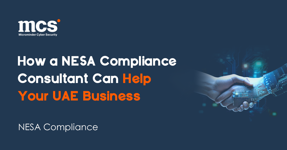 How a NESA Compliance Consultant Can Help Your UAE Business ...